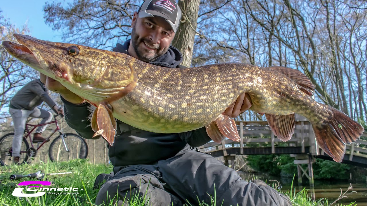 Mehmet hurrying the pike season - Cinnetic Fishing