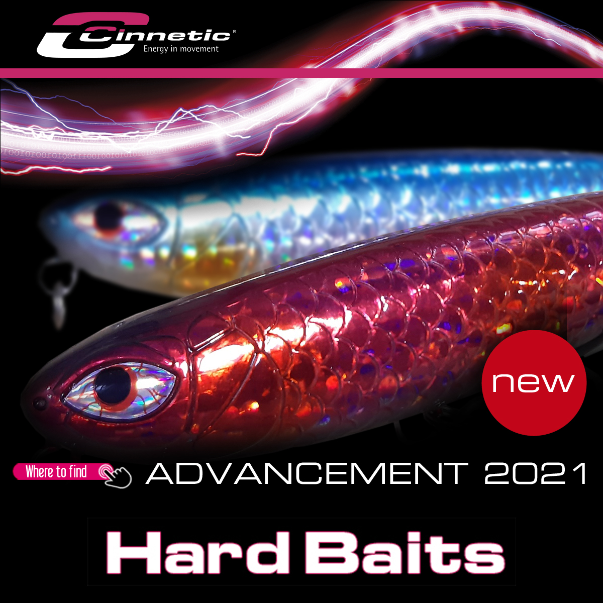 Cinnetic Newsletter - News Preview 2021: Raybraid - Cinnetic Fishing